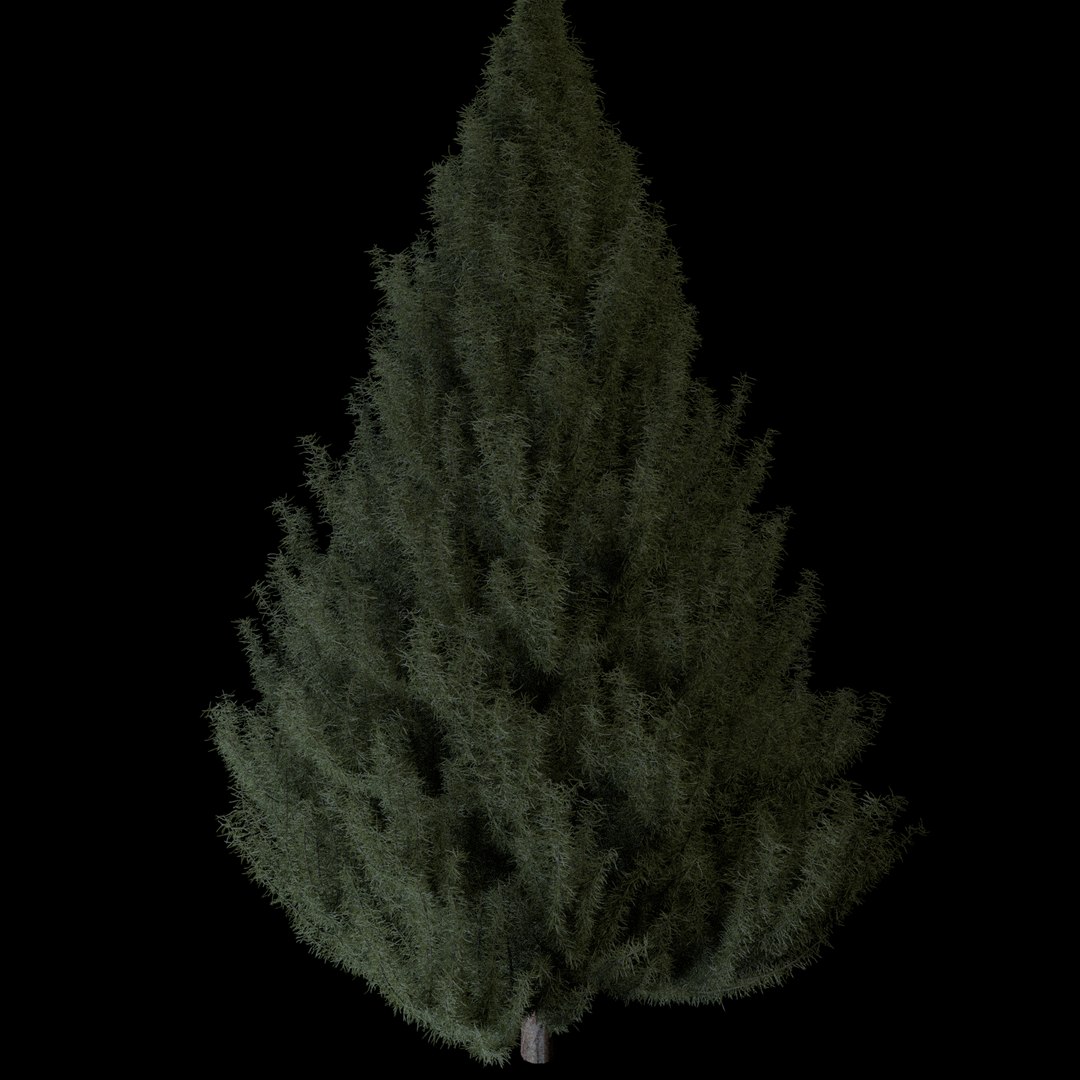 3D pine tree model - TurboSquid 1236154