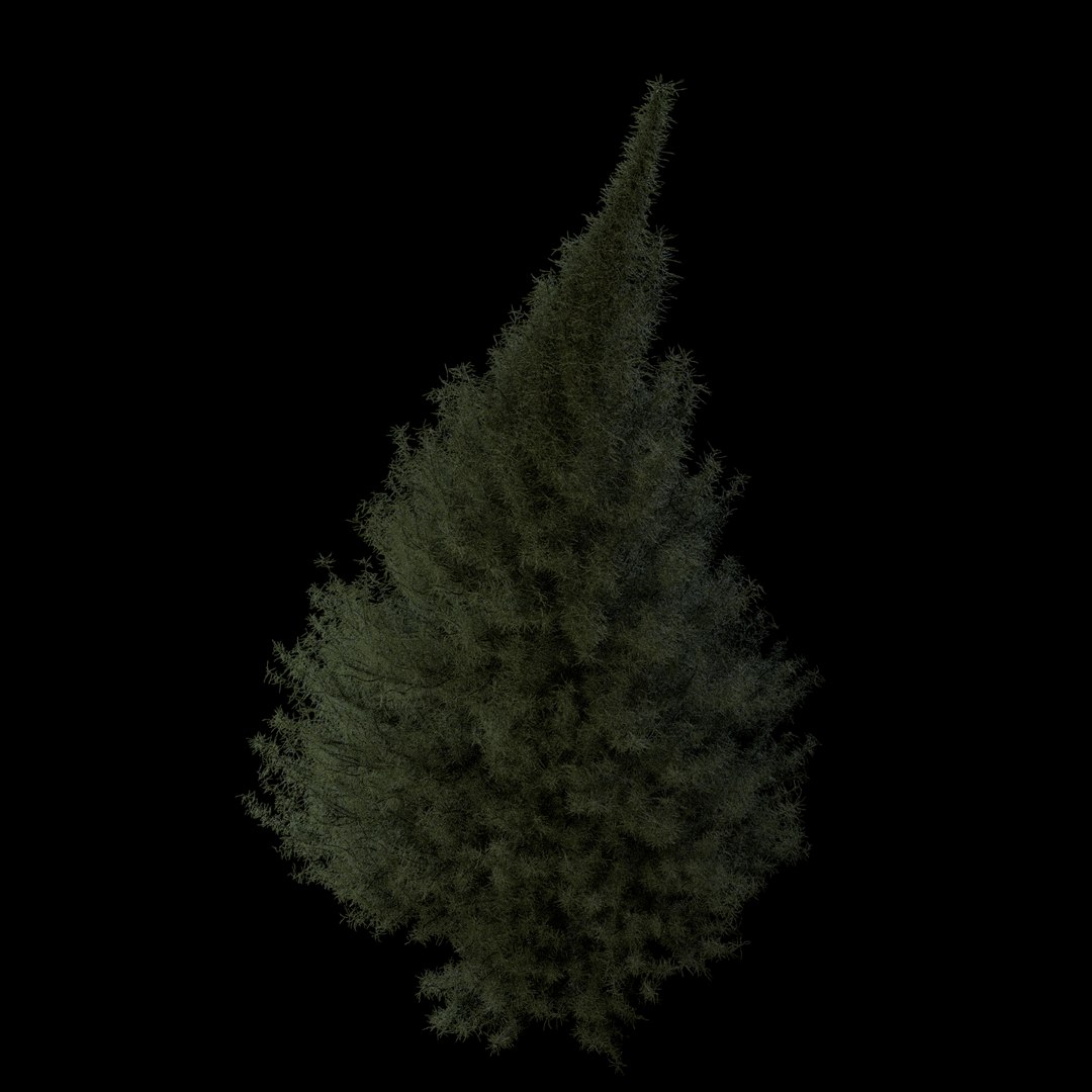 3D pine tree model - TurboSquid 1236154