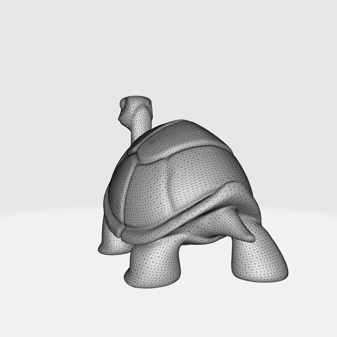 Charming Turtle 3D - TurboSquid 2286304