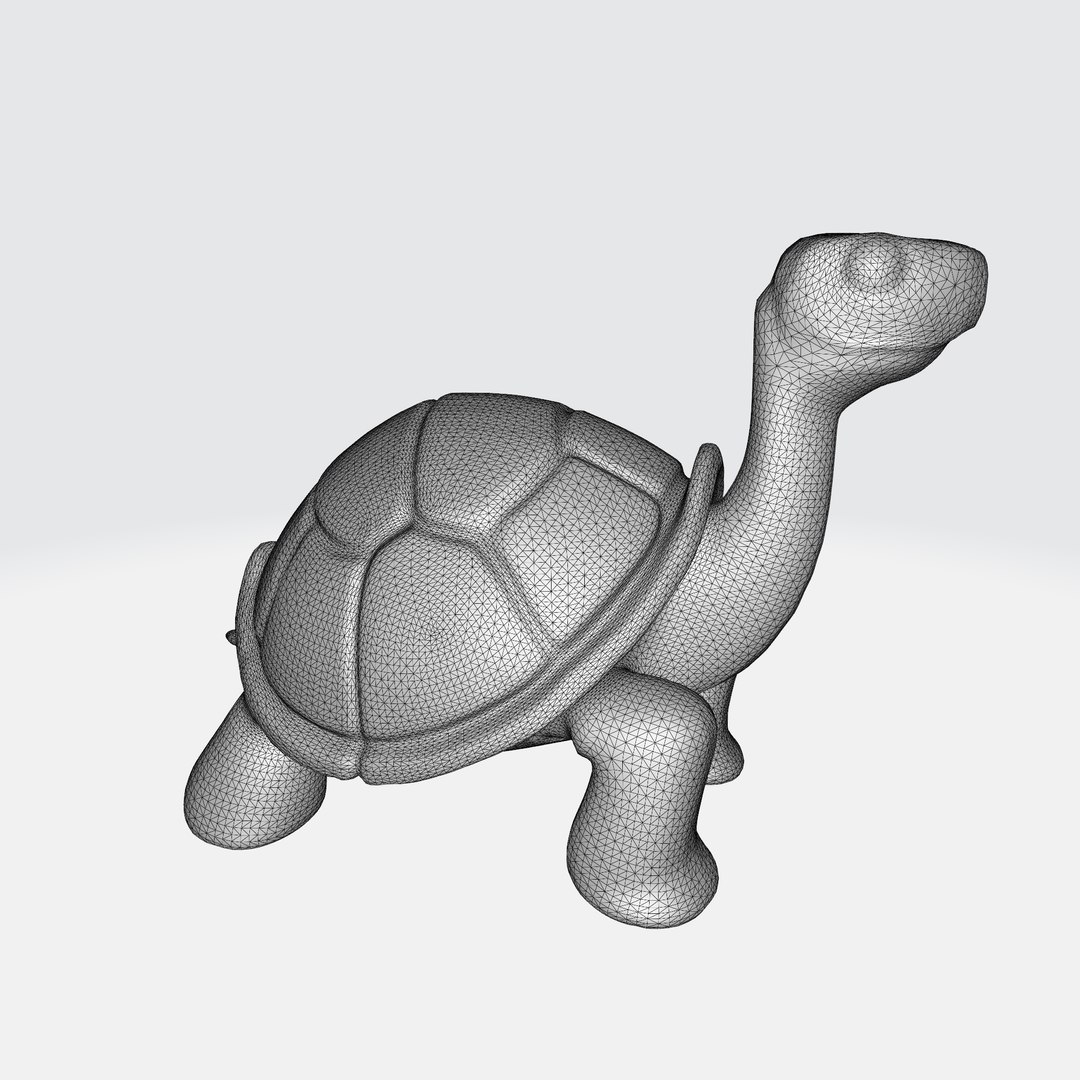 Charming Turtle 3D - TurboSquid 2286304