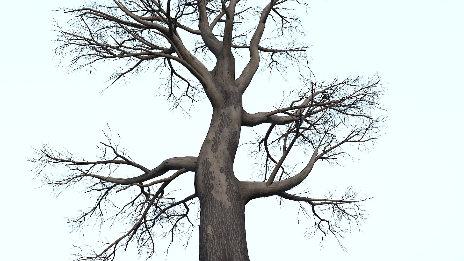 3D Dead Oak Tree Model - TurboSquid 1625246