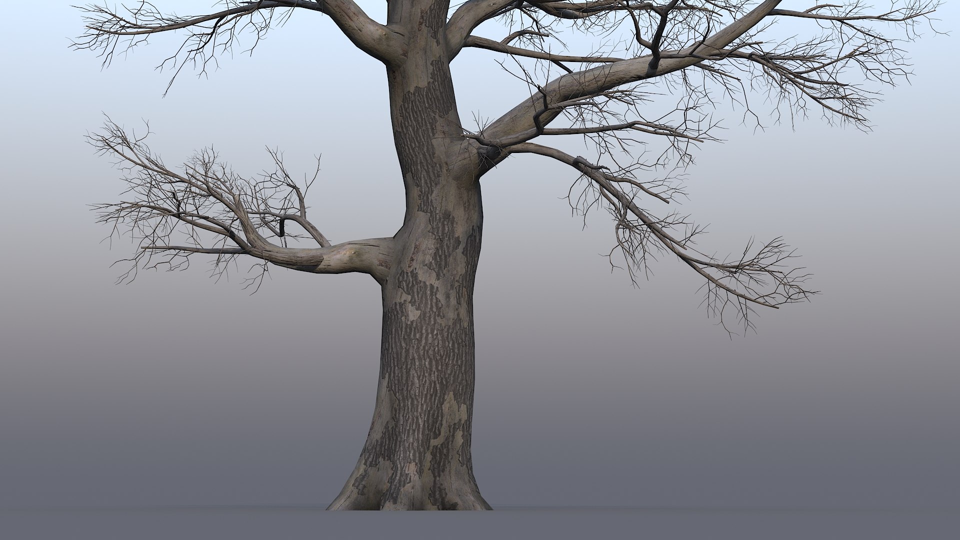 3D Dead Oak Tree Model - TurboSquid 1625246