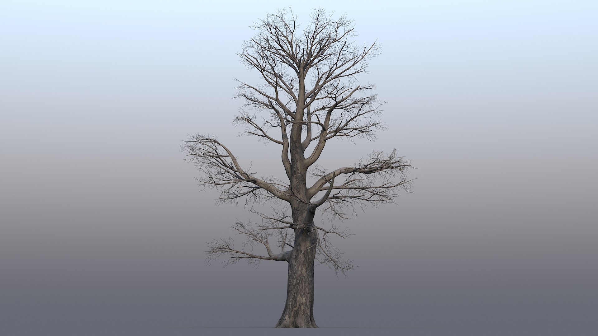 3D Dead Oak Tree Model - TurboSquid 1625246
