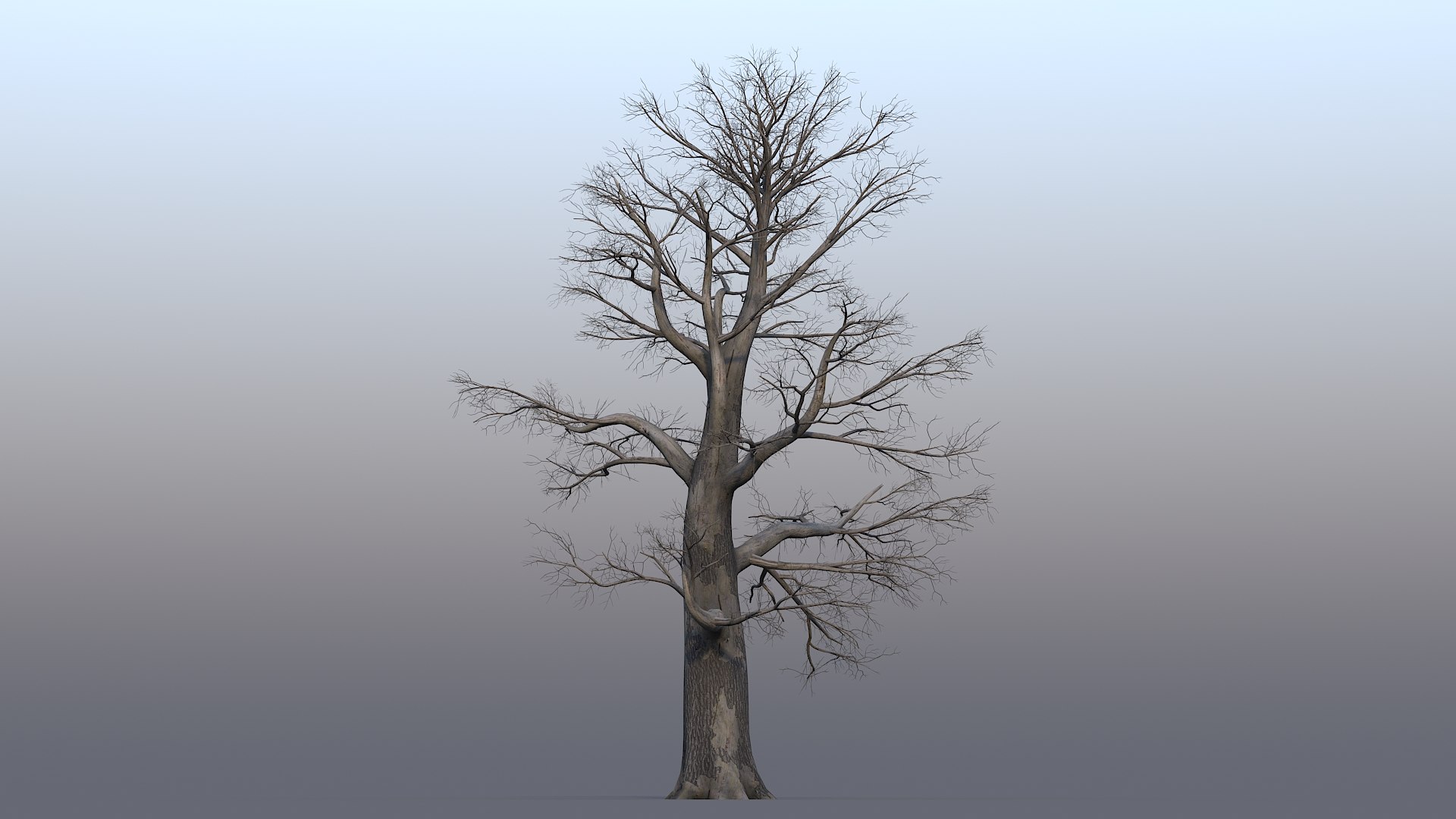 3D Dead Oak Tree Model - TurboSquid 1625246