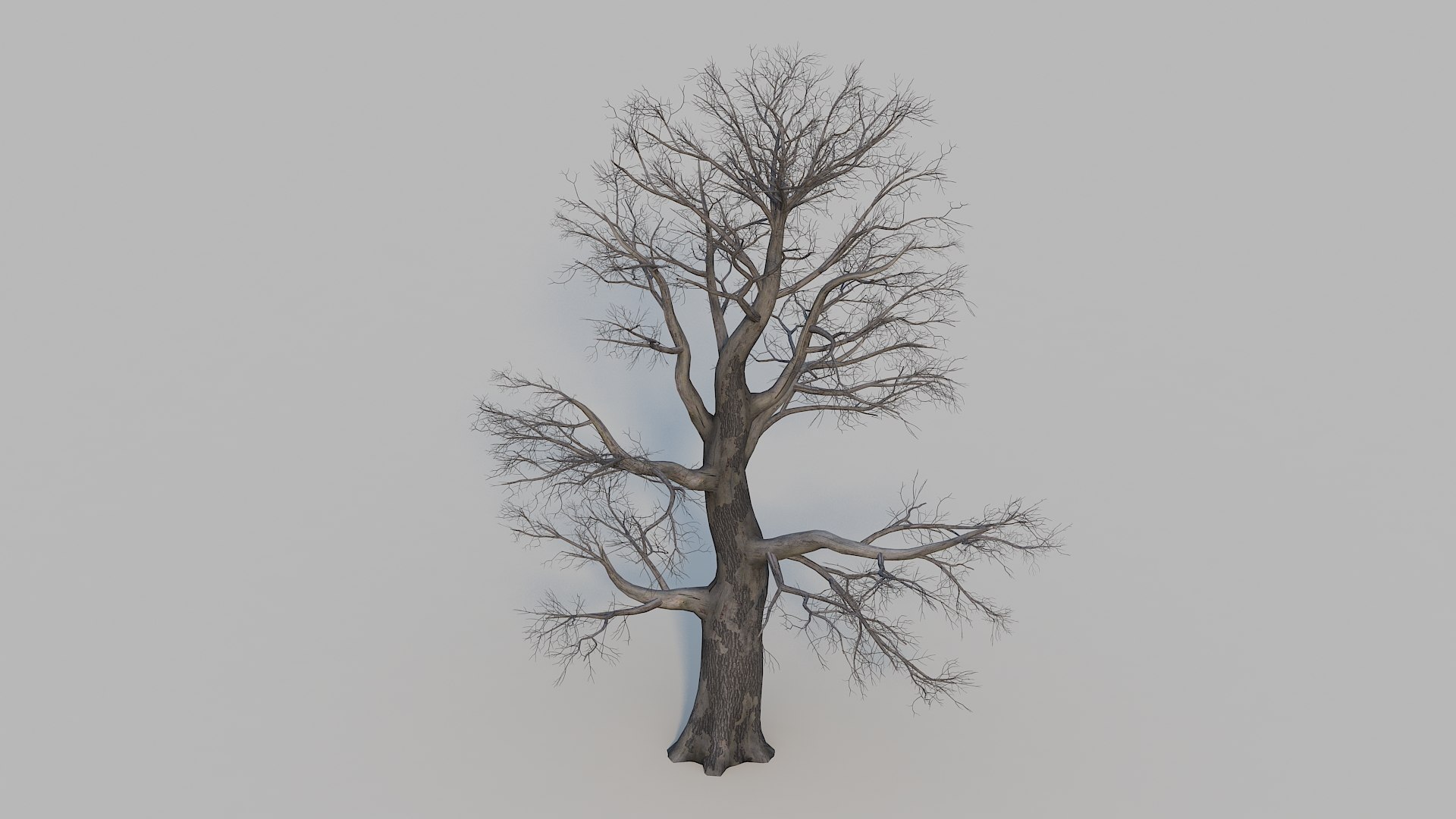 3D Dead Oak Tree Model - TurboSquid 1625246