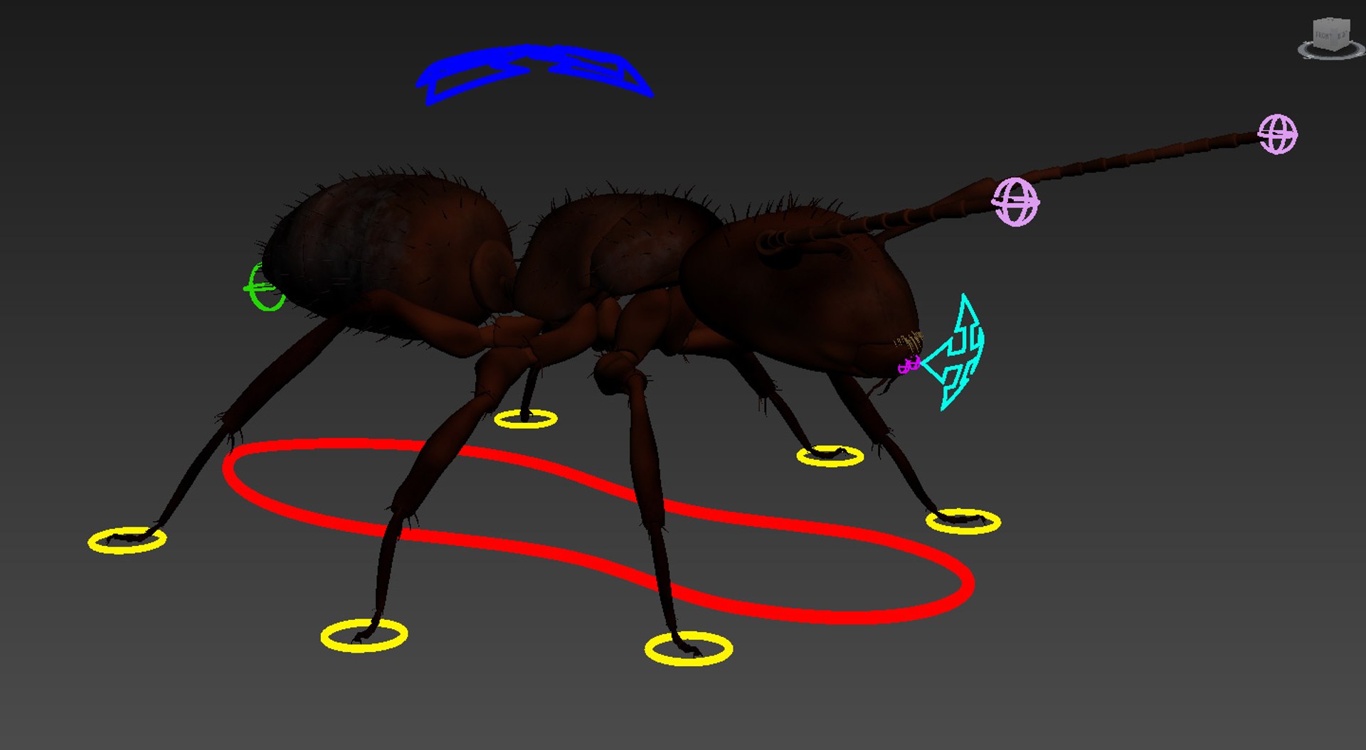 3D Ant Rigged Animated 8K PBR Textures - TurboSquid 1954743