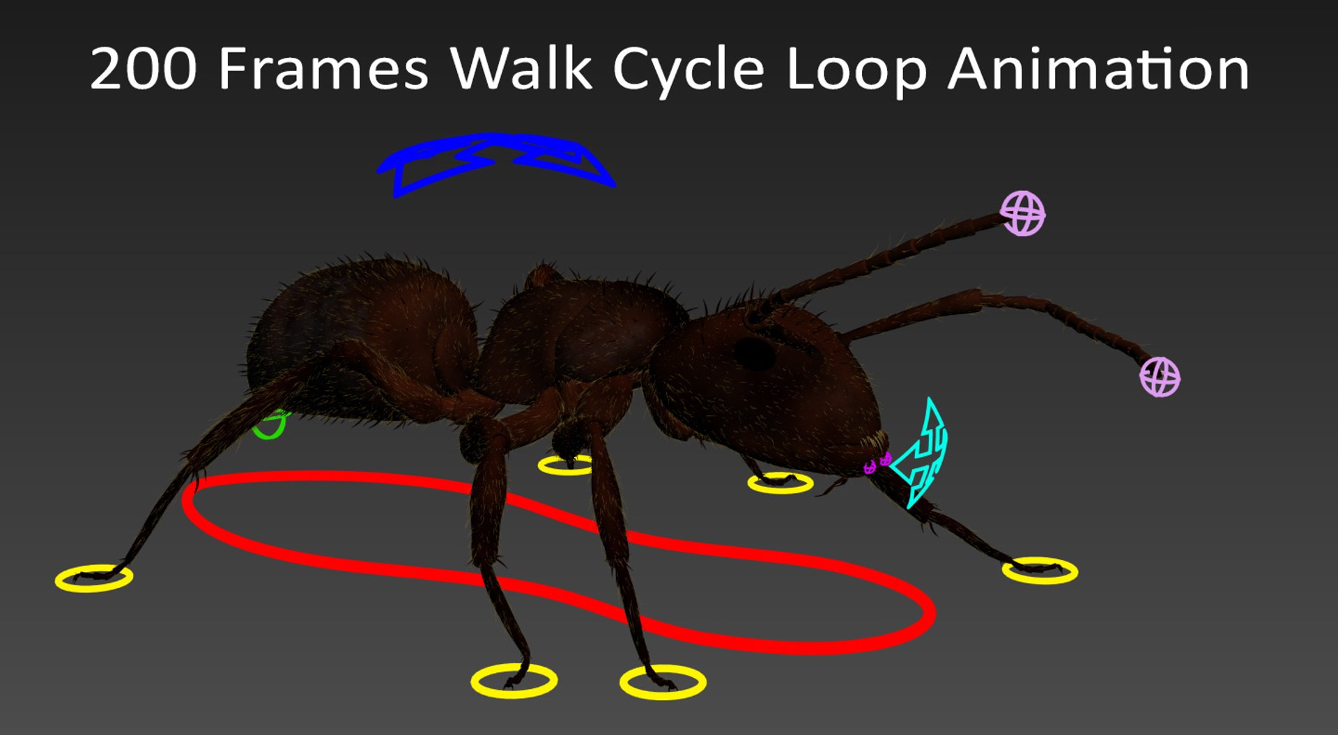 3D Ant Rigged Animated 8K PBR Textures - TurboSquid 1954743