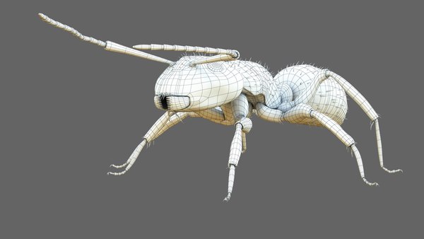 Ant Rigged Animated 8K PBR Textures3Dモデル - TurboSquid 1954743