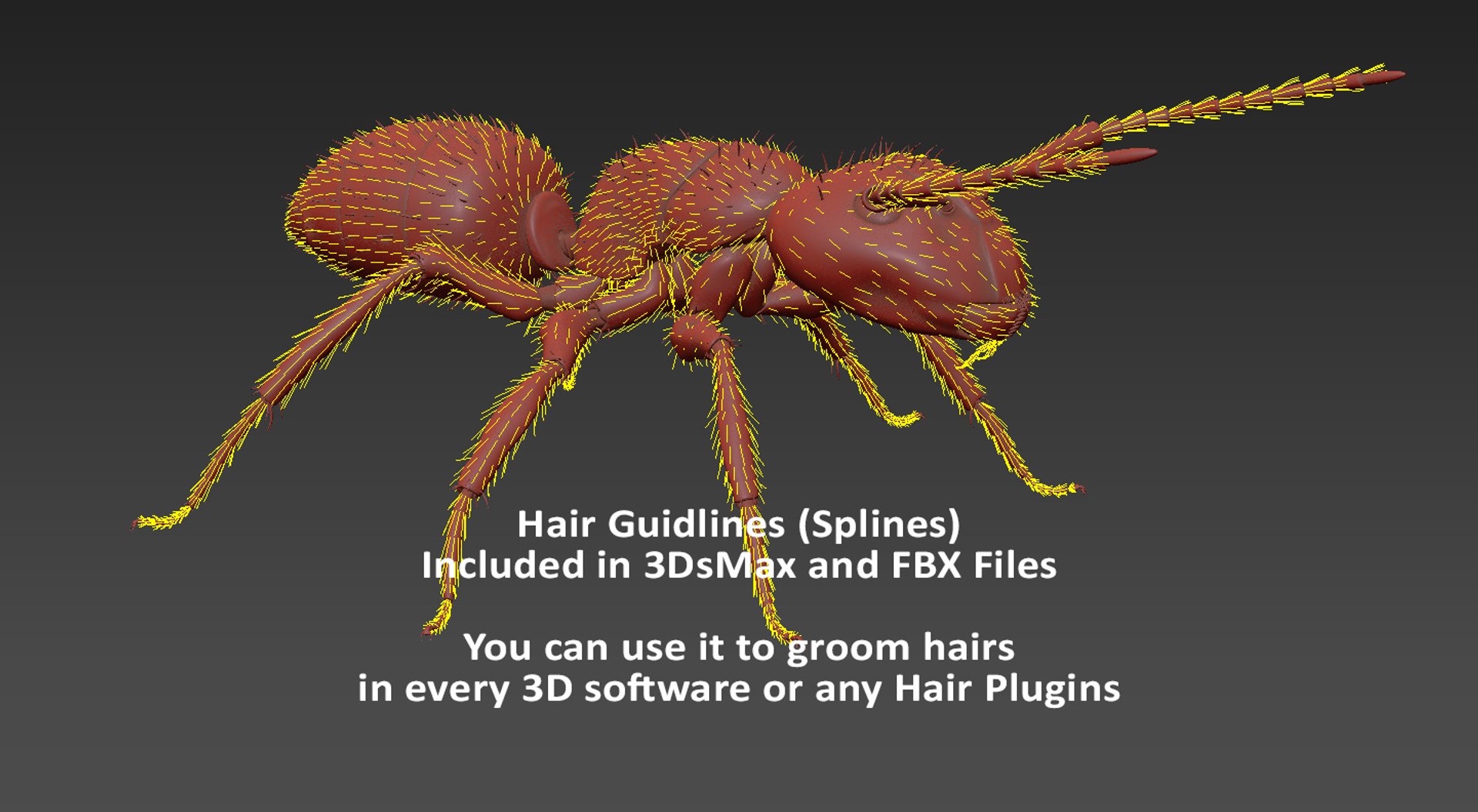 3D Ant Rigged Animated 8K PBR Textures - TurboSquid 1954743