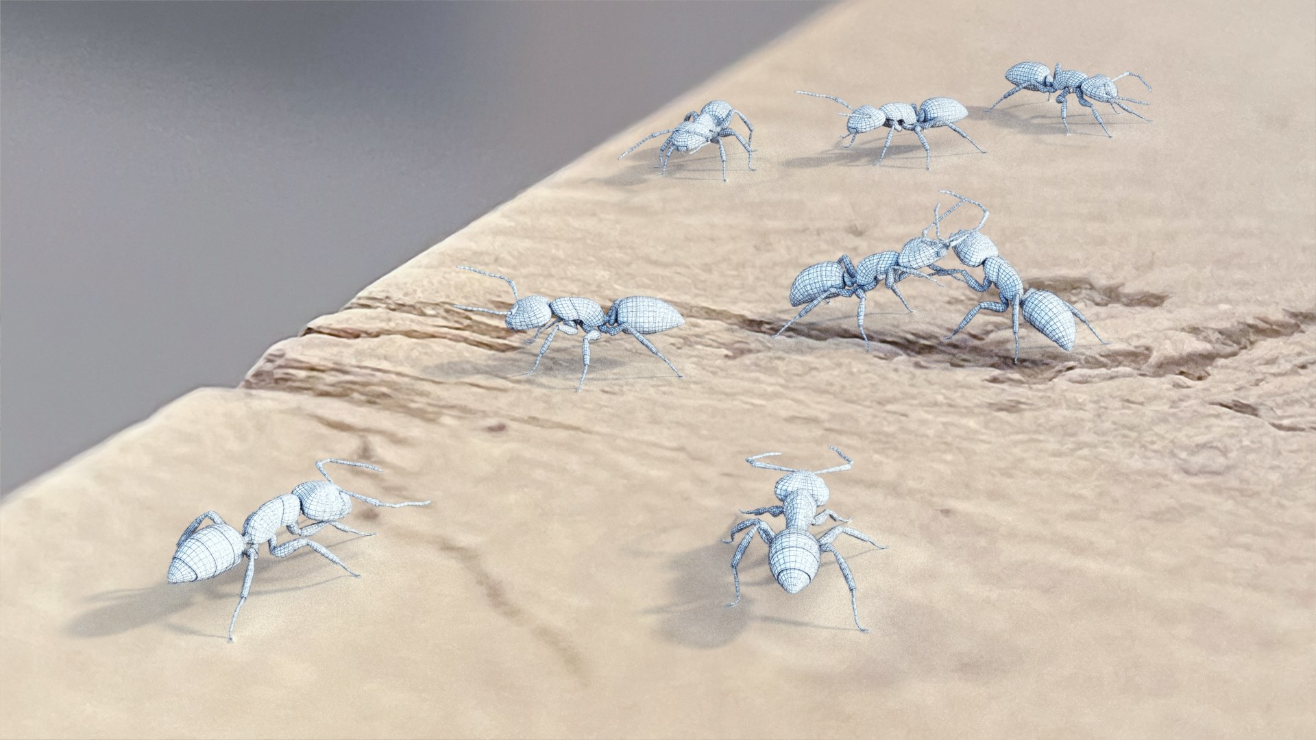 3D Ant Rigged Animated 8K PBR Textures - TurboSquid 1954743