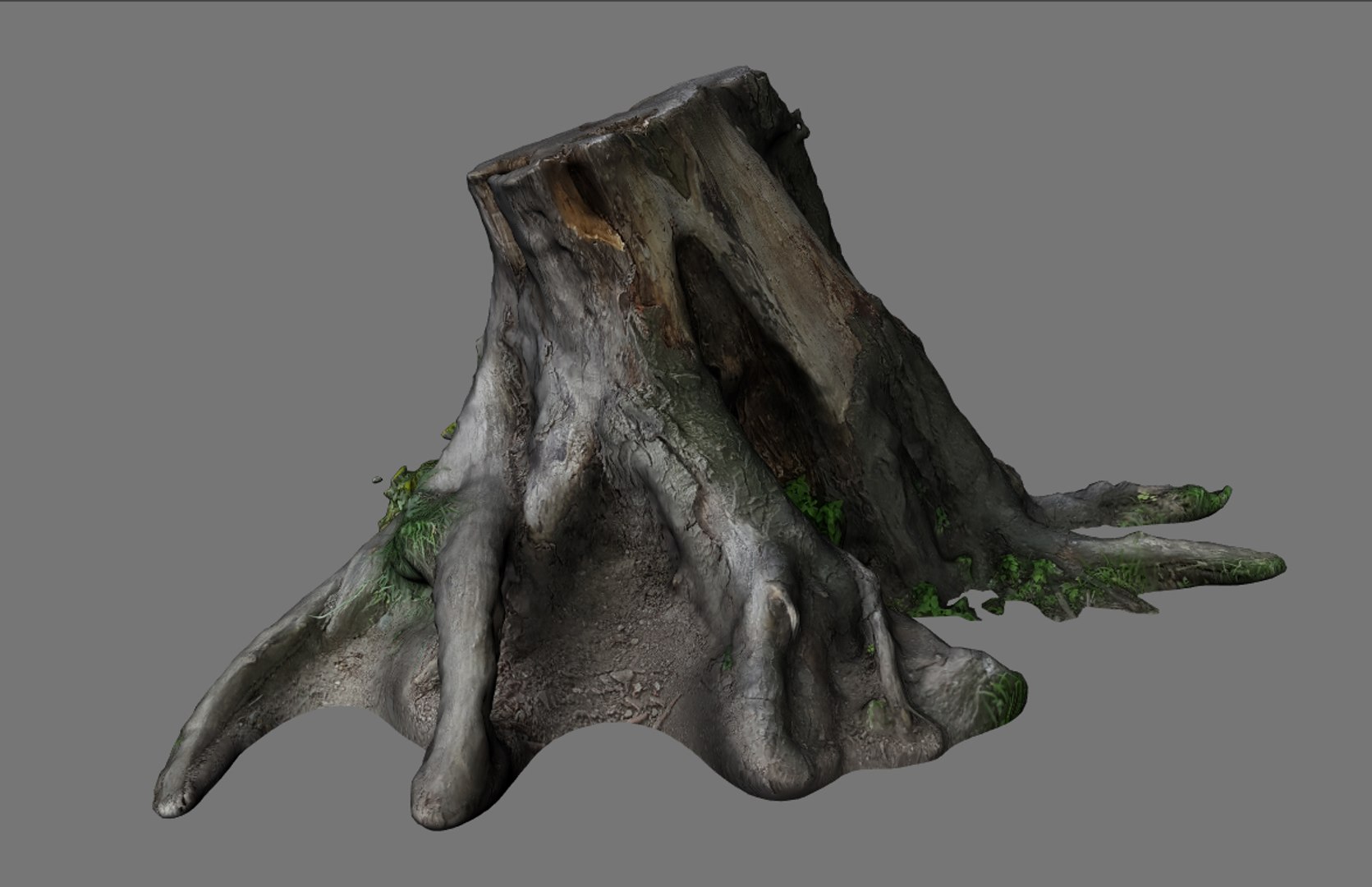 3d Treestumps Stump Model