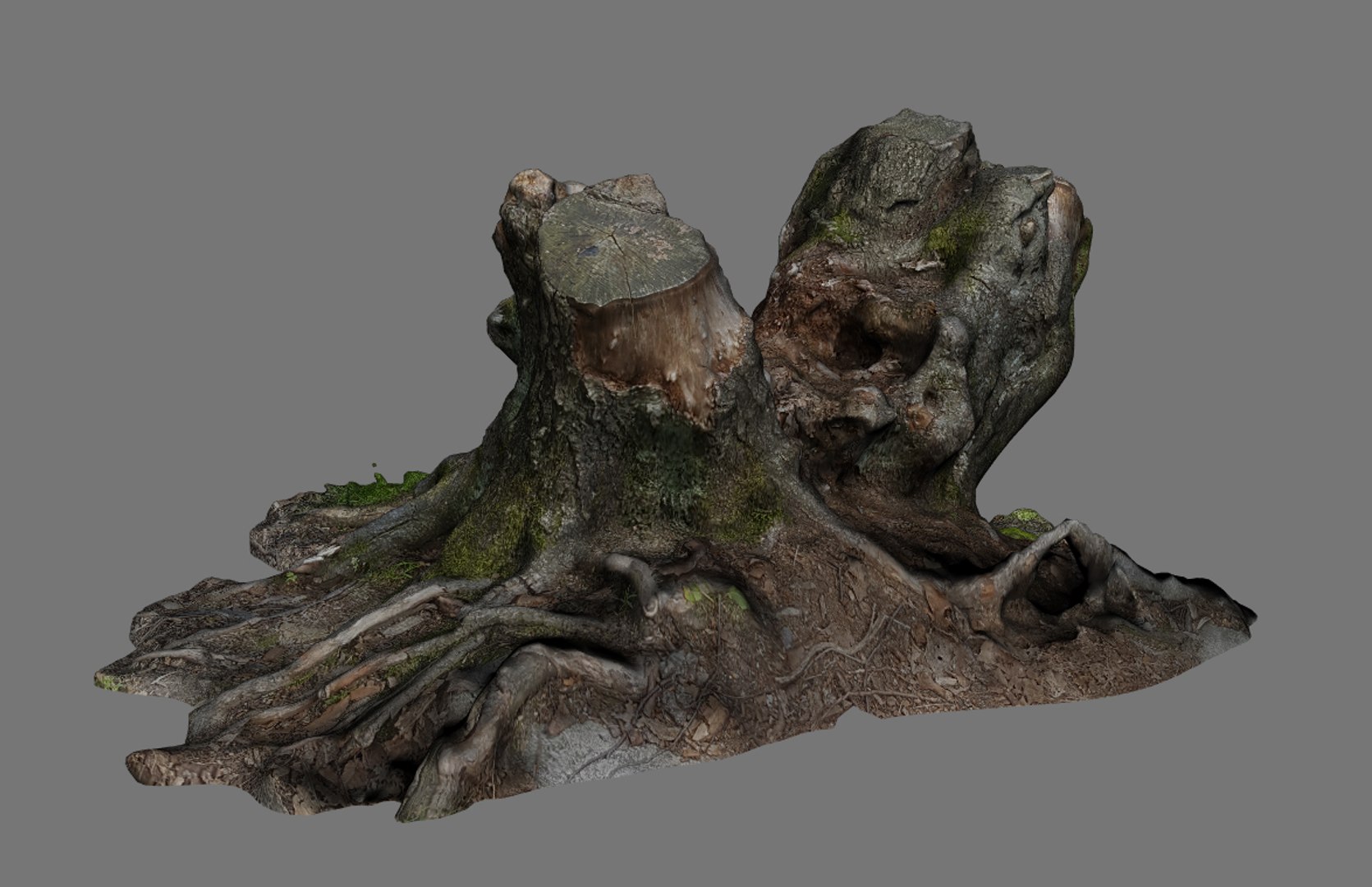 3d Treestumps Stump Model