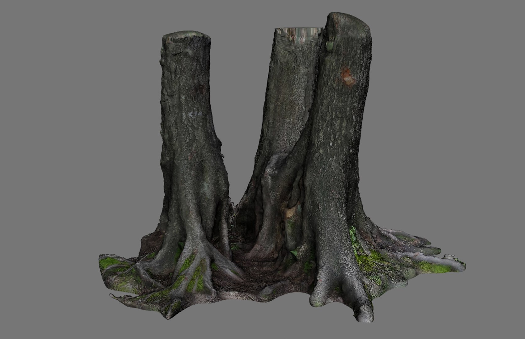 3d Treestumps Stump Model