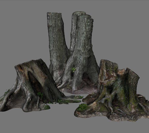 3d treestumps stump model