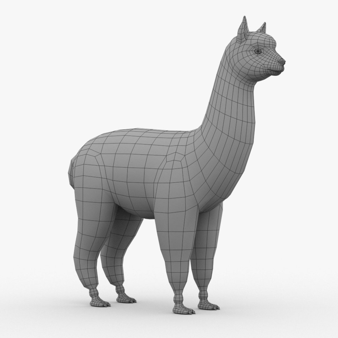 3D alpaca basemesh - TurboSquid 2006714