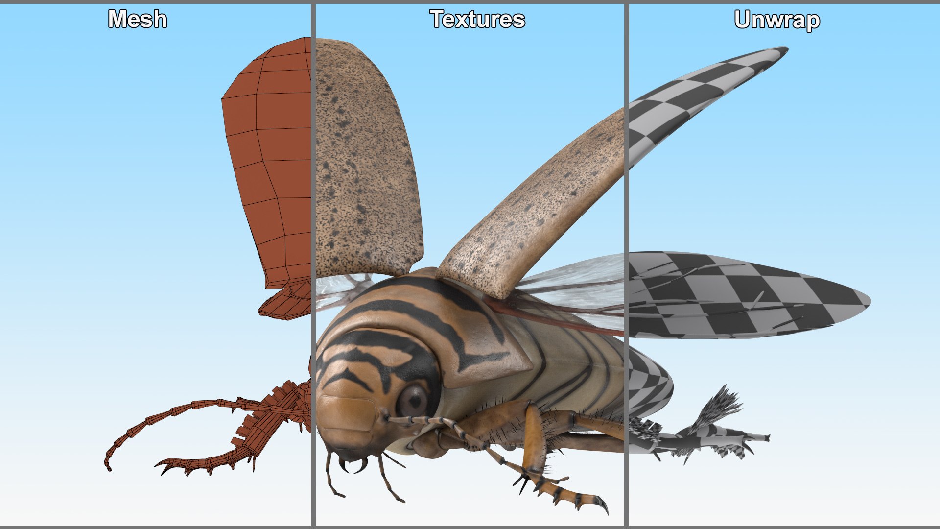 3D Hygrobia Beetle Beige Flying - TurboSquid 2241971