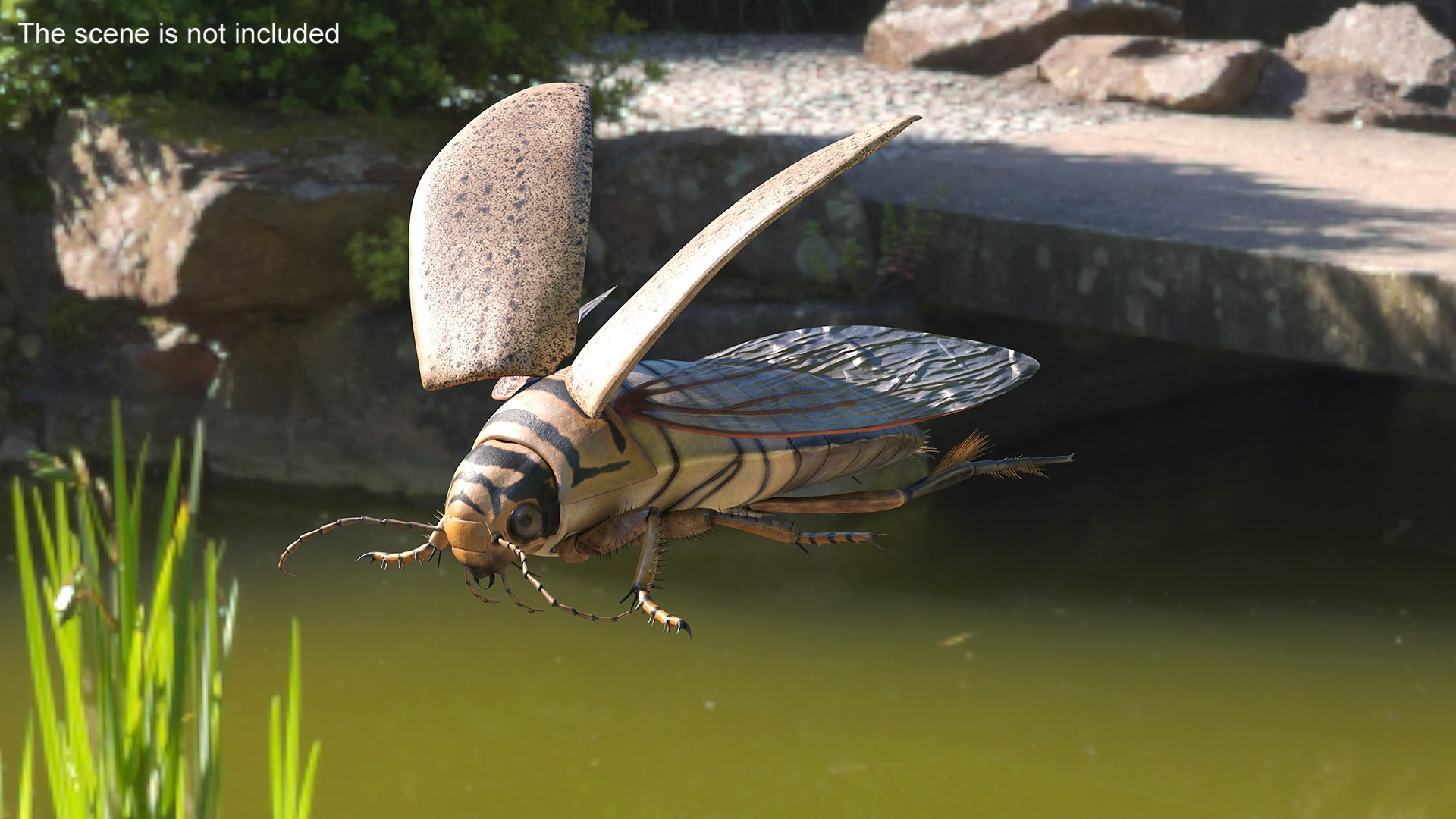 3D Hygrobia Beetle Beige Flying - TurboSquid 2241971