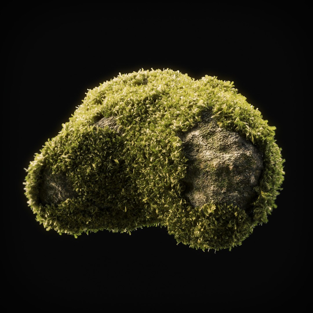 Moss 10 3D Model - TurboSquid 1535009