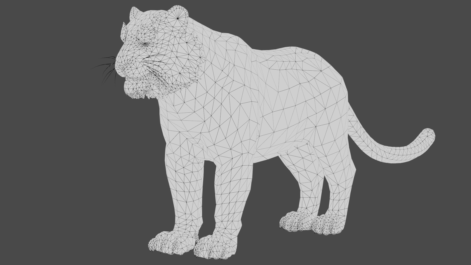 3D White Tiger - TurboSquid 2097088
