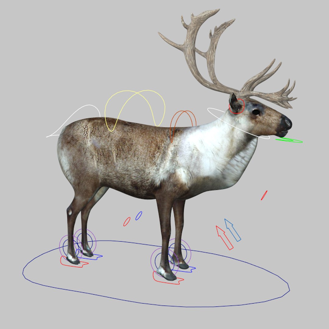 Reindeer Animation Model - TurboSquid 1347273