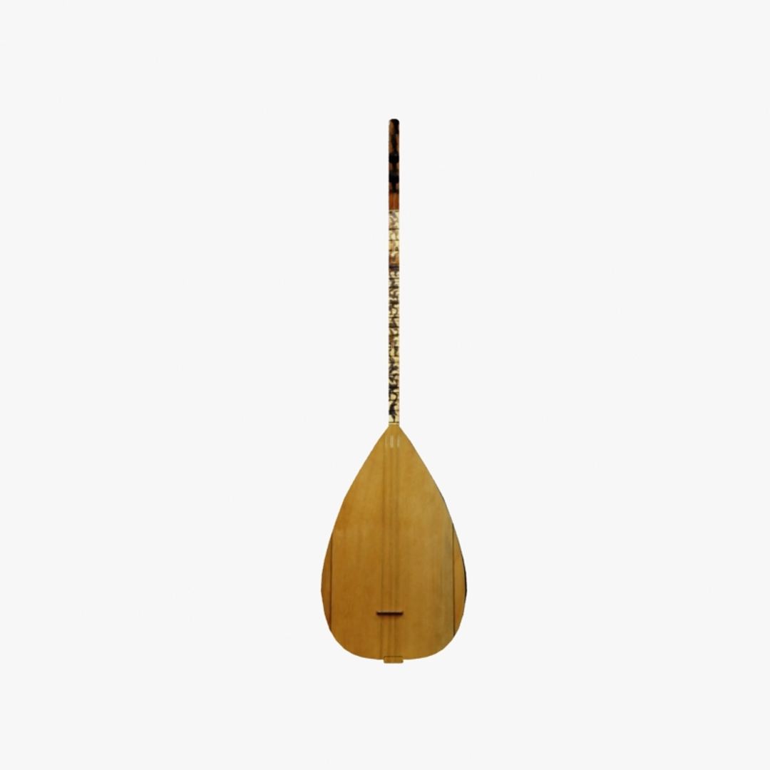 Baglama Instrument Max
