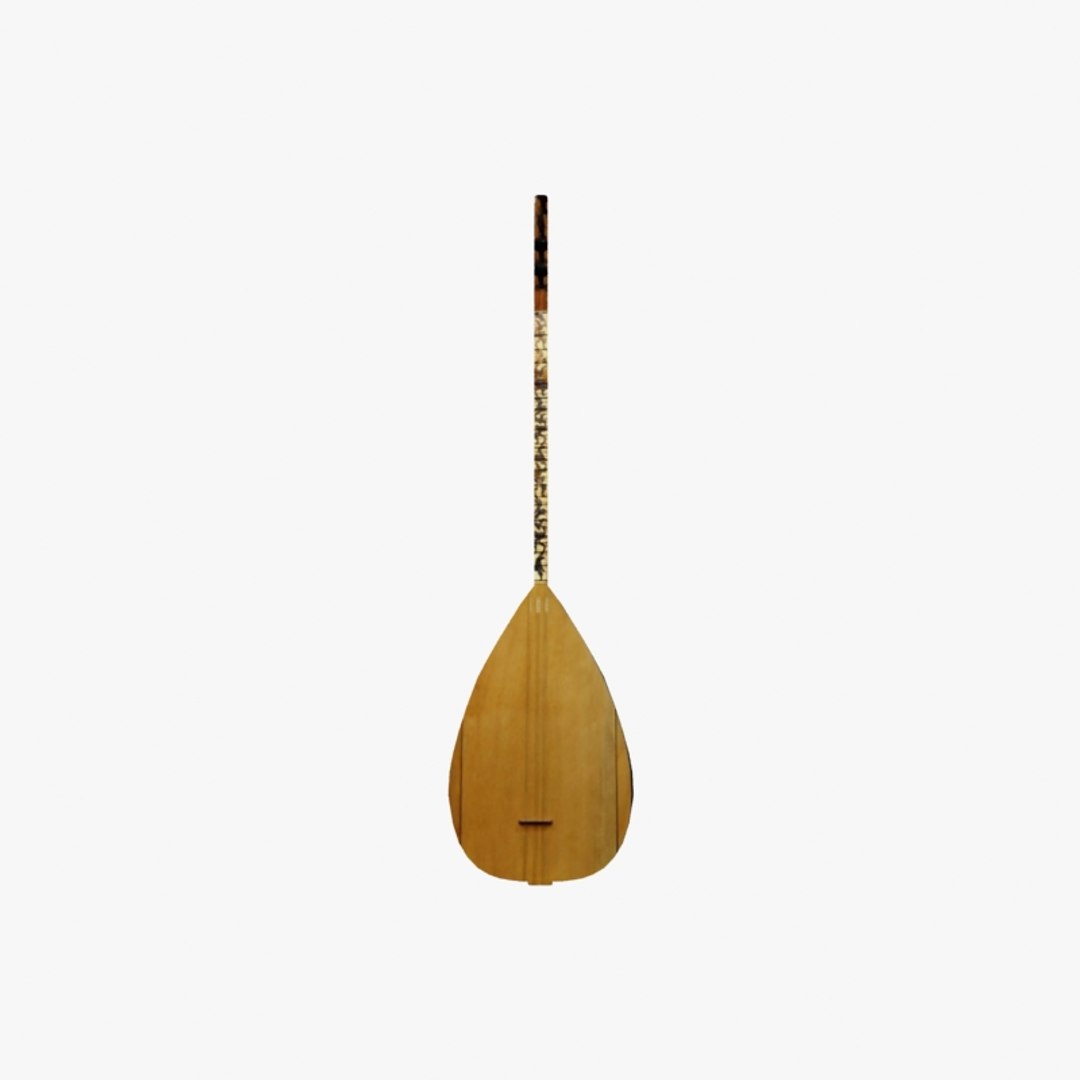 Baglama Instrument Max