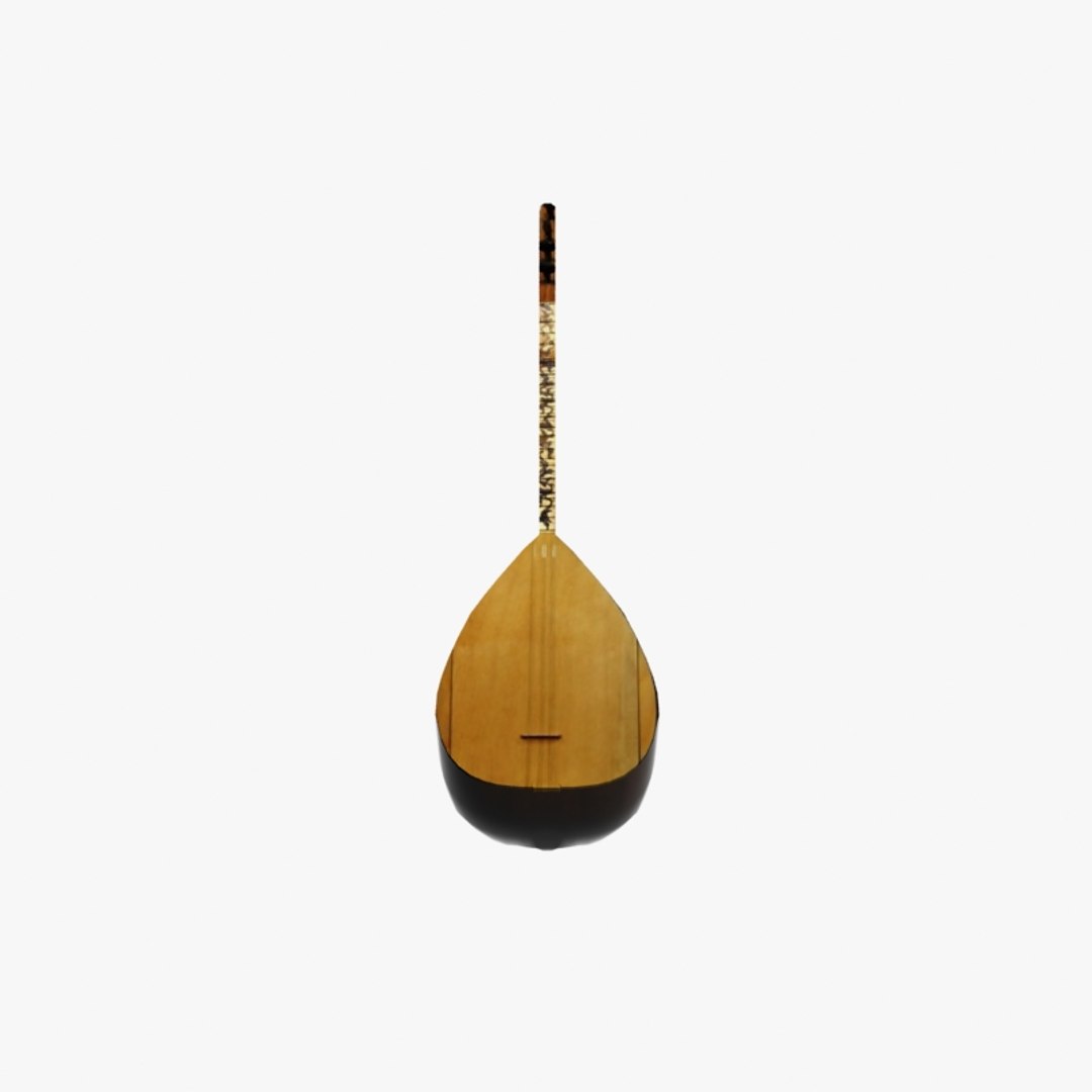 Baglama Instrument Max