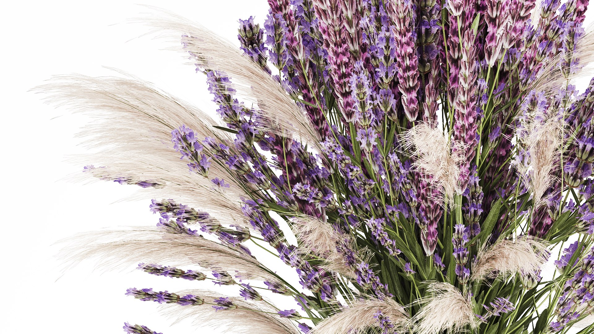 3D White Bouquet Of Dried Flowers Lovanda Branches In A Vase 559 ...