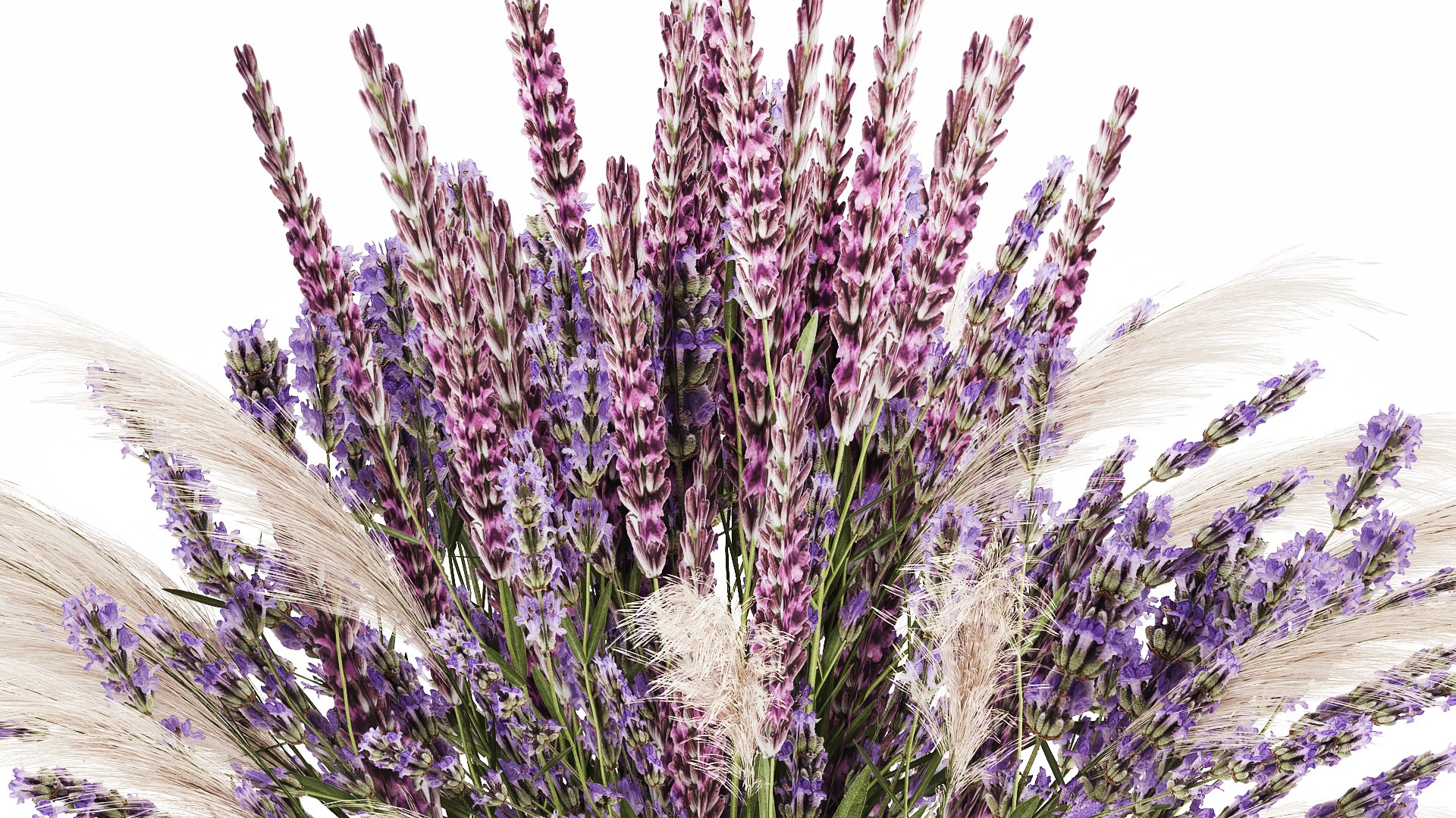 3D White Bouquet Of Dried Flowers Lovanda Branches In A Vase 559 ...