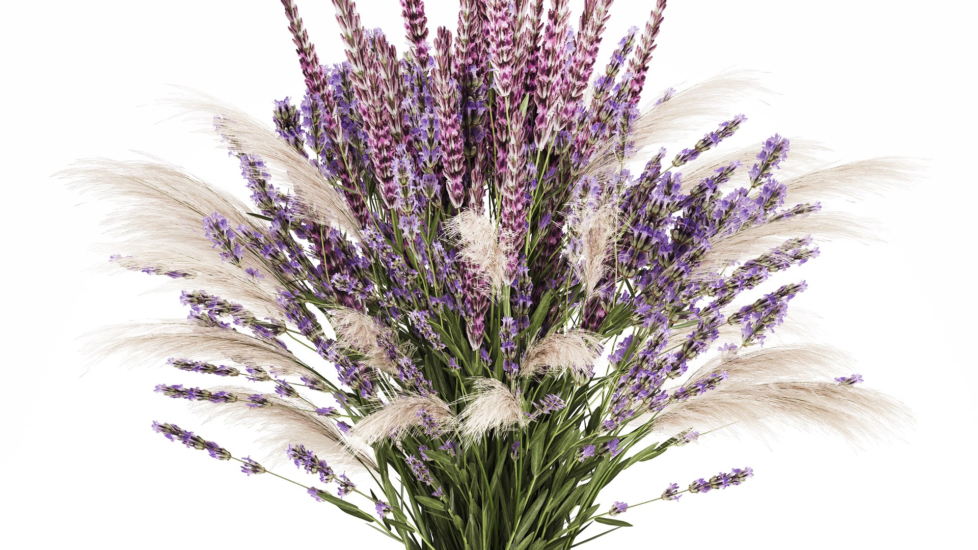 3D White Bouquet Of Dried Flowers Lovanda Branches In A Vase 559 ...