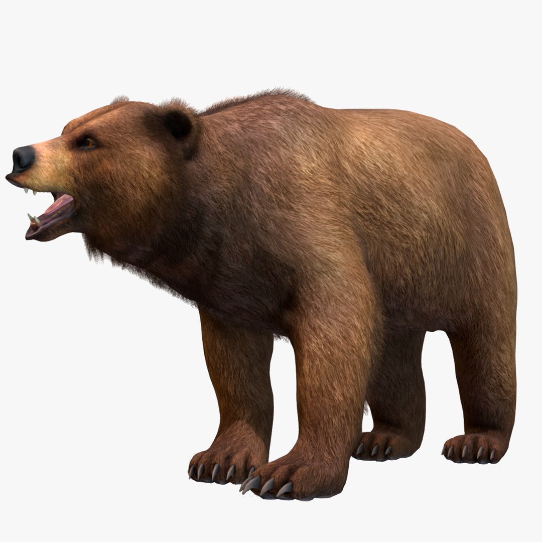3D Bear - Male - TurboSquid 2090499