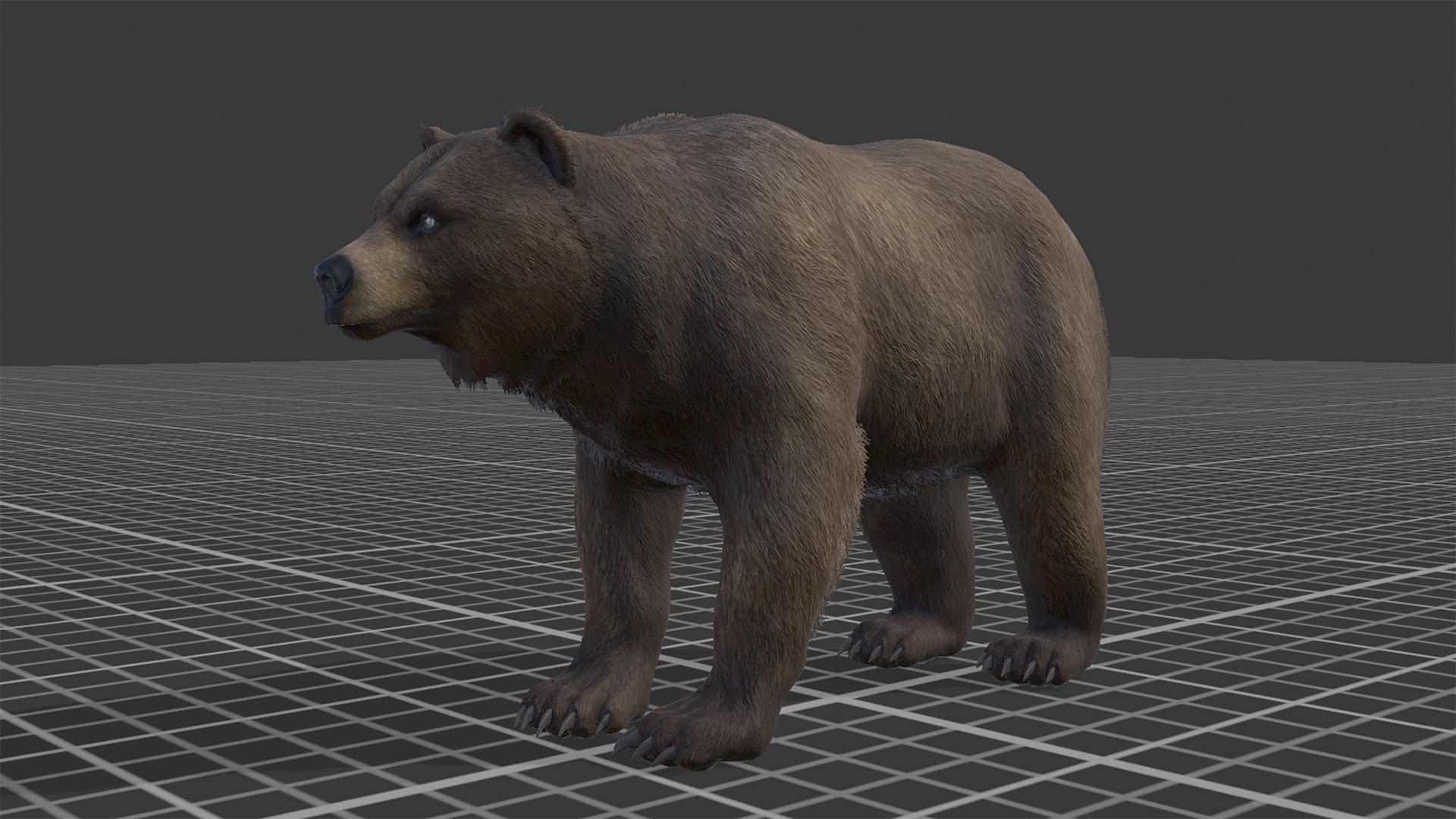 3D Bear - Male - TurboSquid 2090499