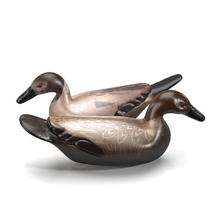 3D Duck Decoy Models - Browse & Download Formats - TurboSquid