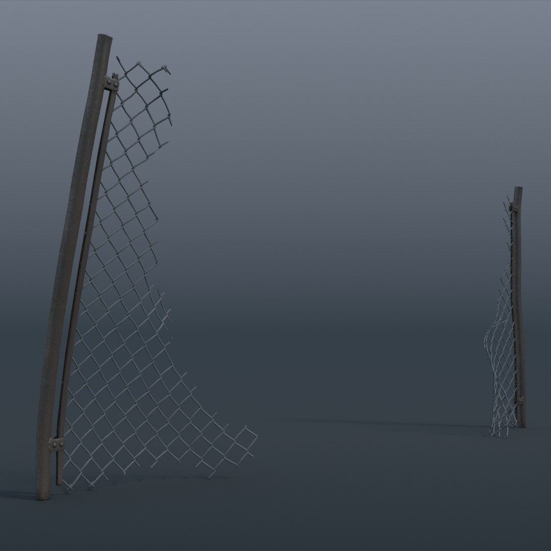 3d Model Damage Netting