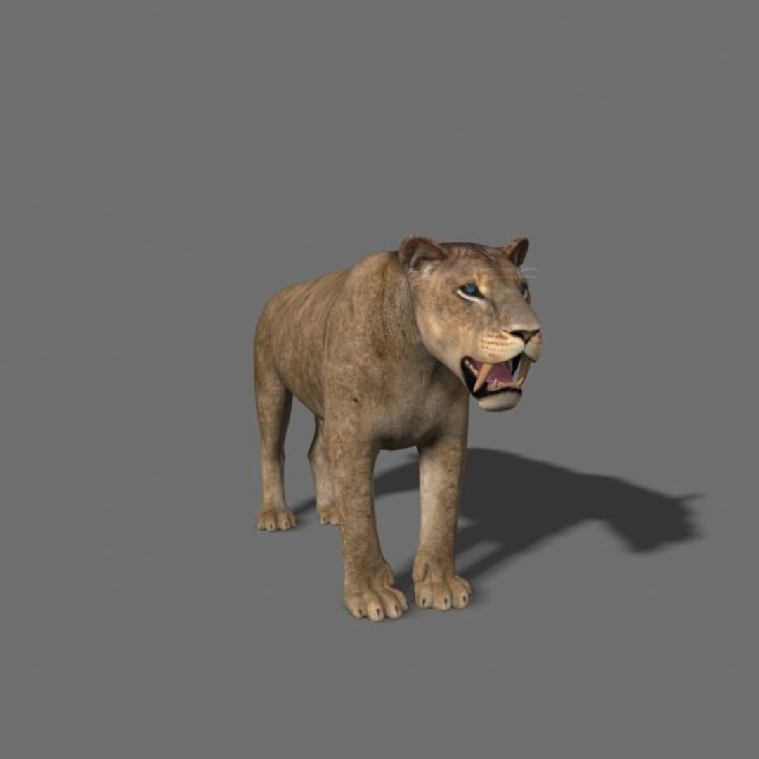 Maya Sabretooth Animation Sabre Tooth