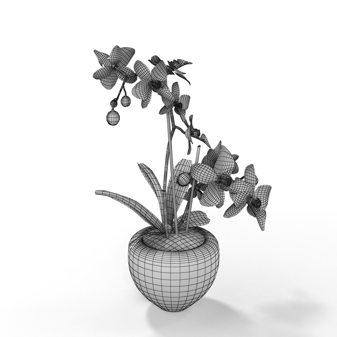 Contemporary Flower 3d Max