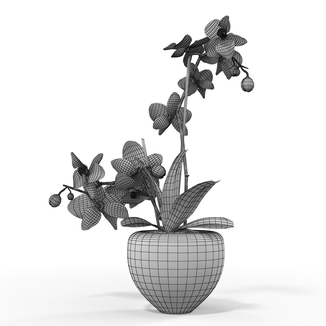 Contemporary Flower 3d Max