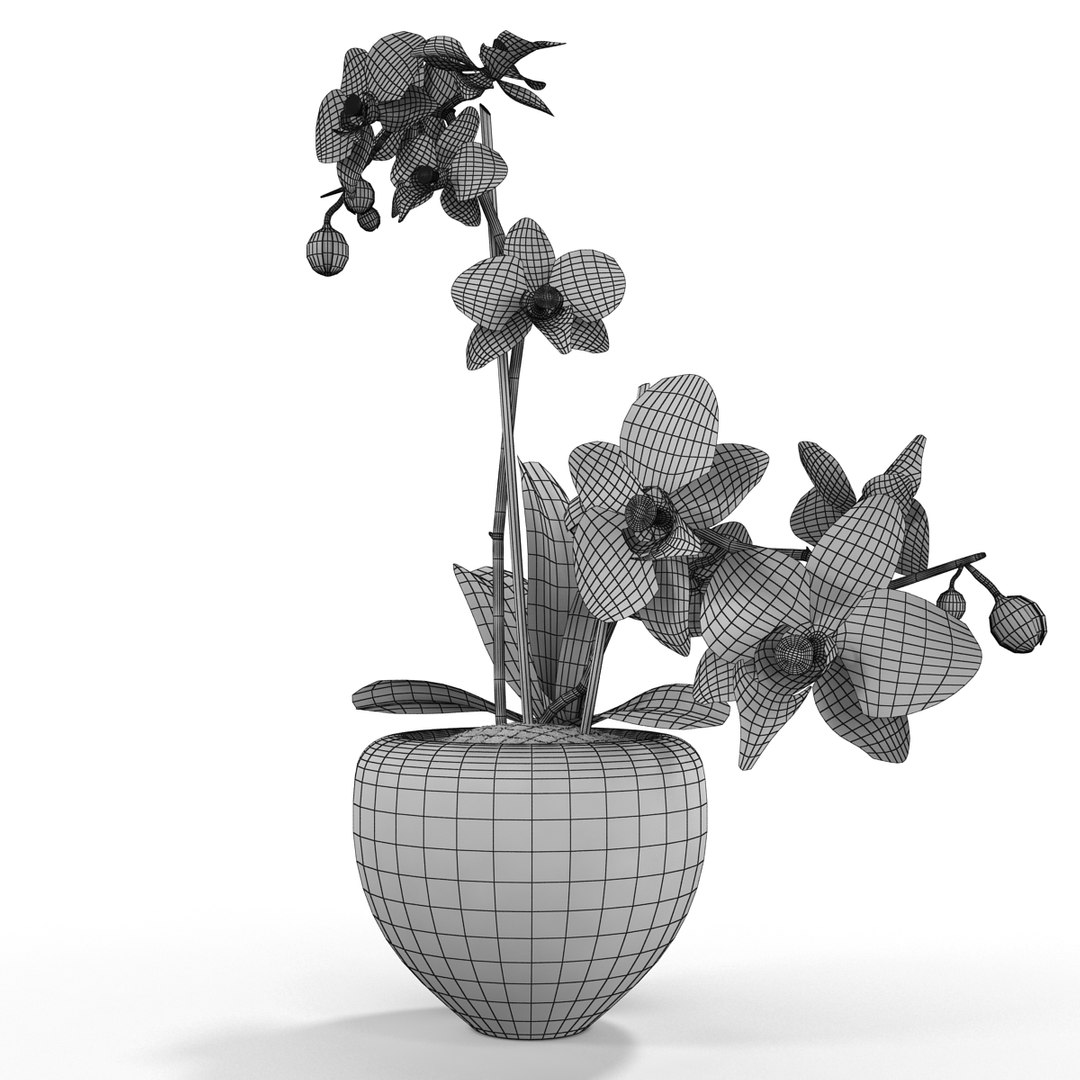 Contemporary Flower 3d Max