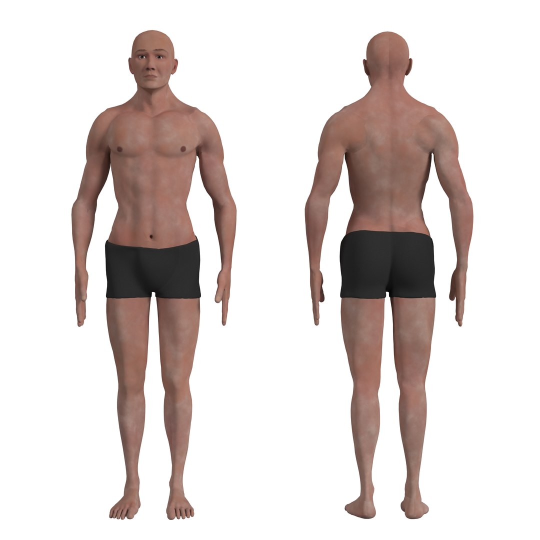 3D Complete Human Body Anatomy - Muscles Skeleton Internal Organs - TurboSquid 2221810