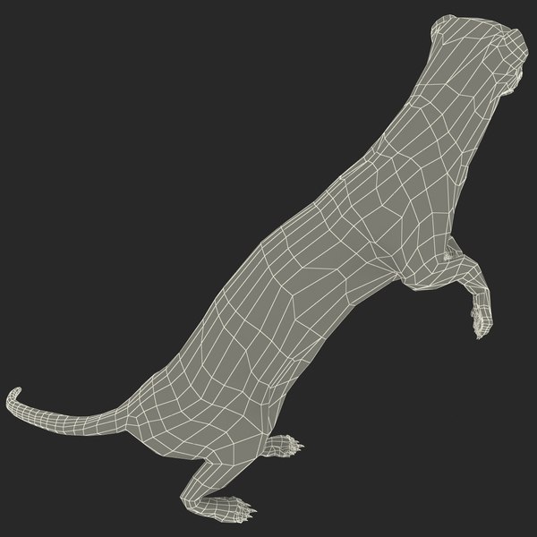 3d weasel pose 2 model