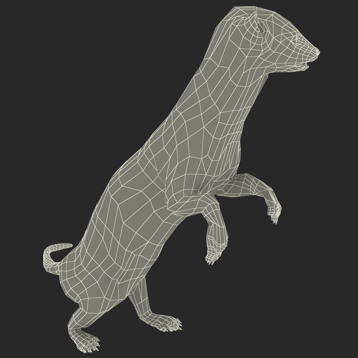 3d weasel pose 2 model