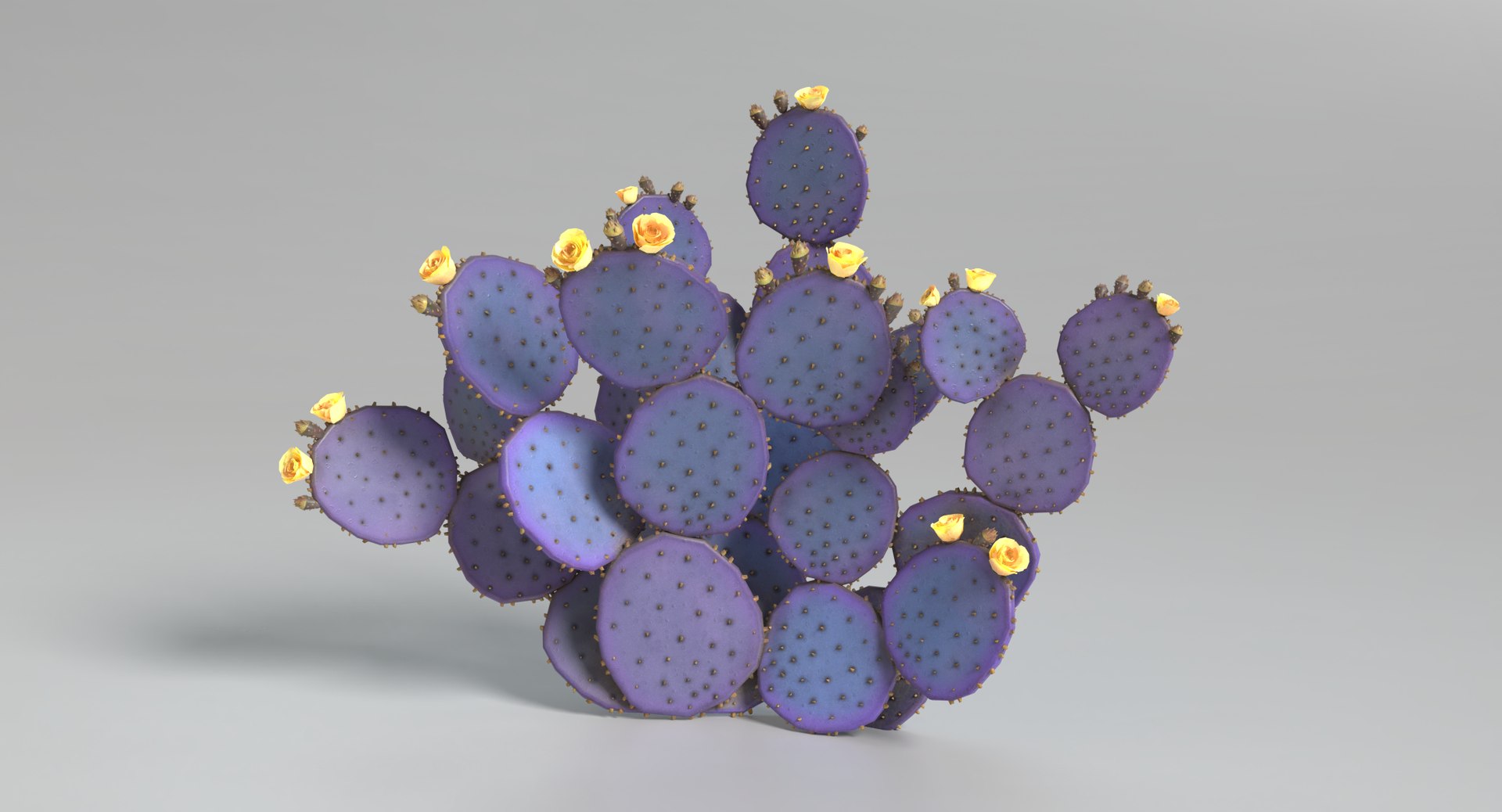 Prickly Pear Cactus 3D Model - TurboSquid 1394187