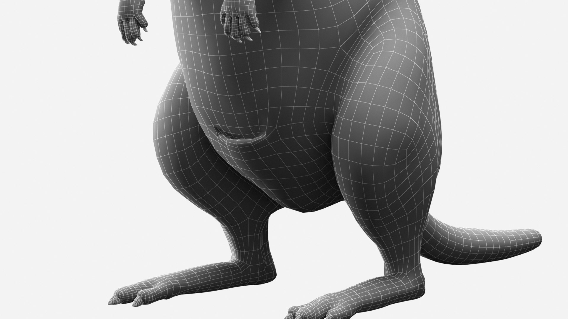 Marsupials Mammal 3D Model - TurboSquid 1632576