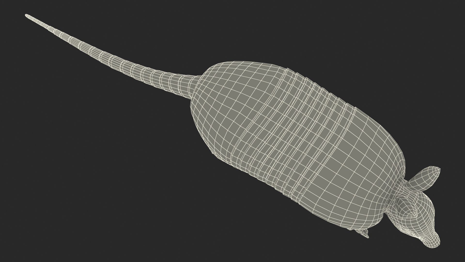 Armadillo In Walking Pose Pink Fur 3D Model - TurboSquid 2248078