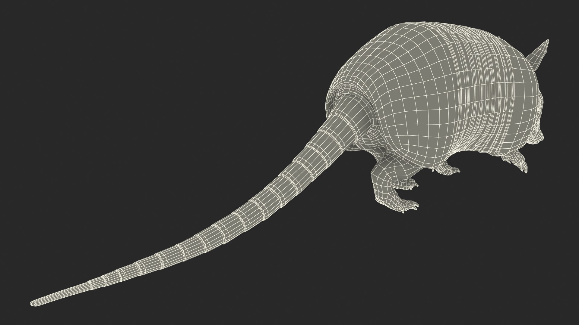 Armadillo In Walking Pose Pink Fur 3D Model - TurboSquid 2248078