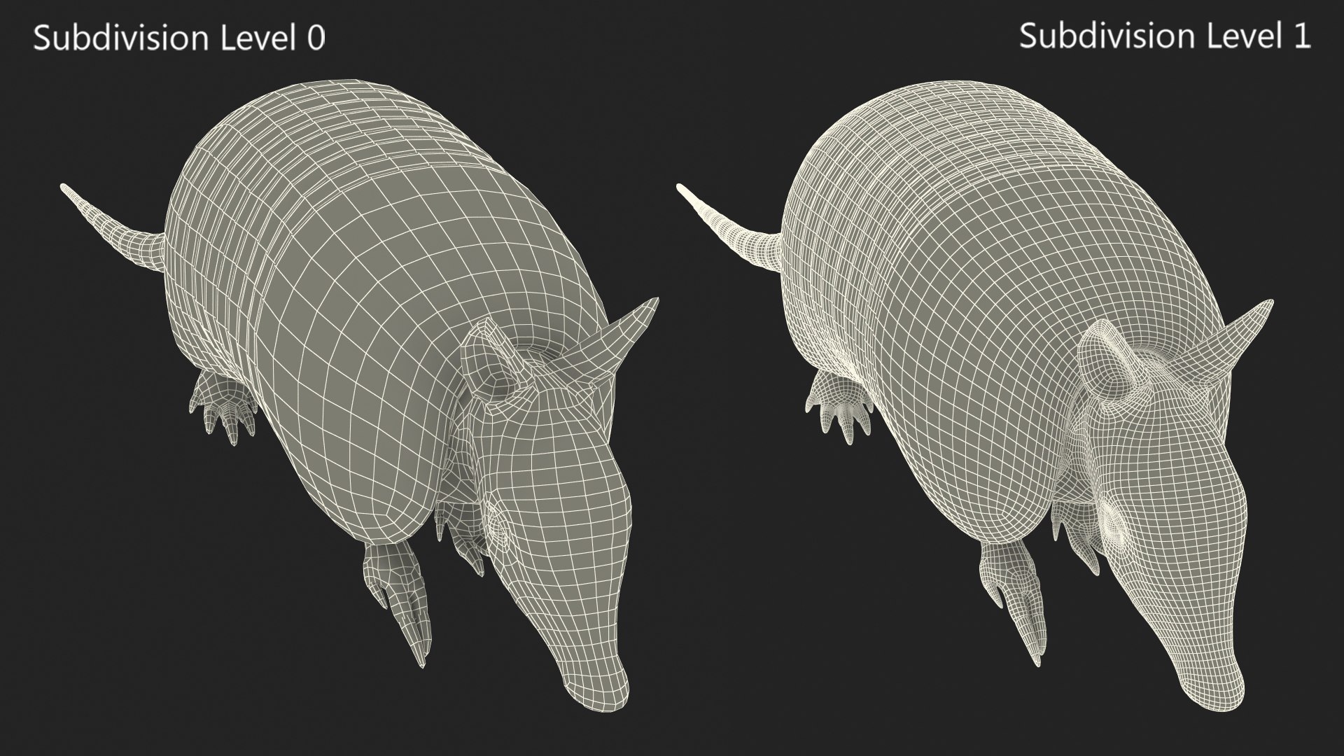 Armadillo In Walking Pose Pink Fur 3D Model - TurboSquid 2248078
