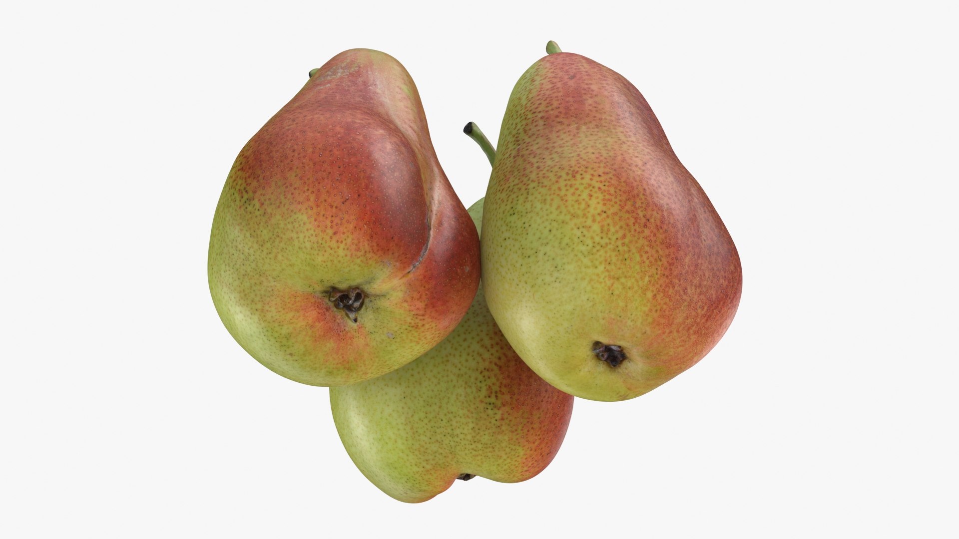 3D Forelle Pear Whole Half 2 - TurboSquid 2178677