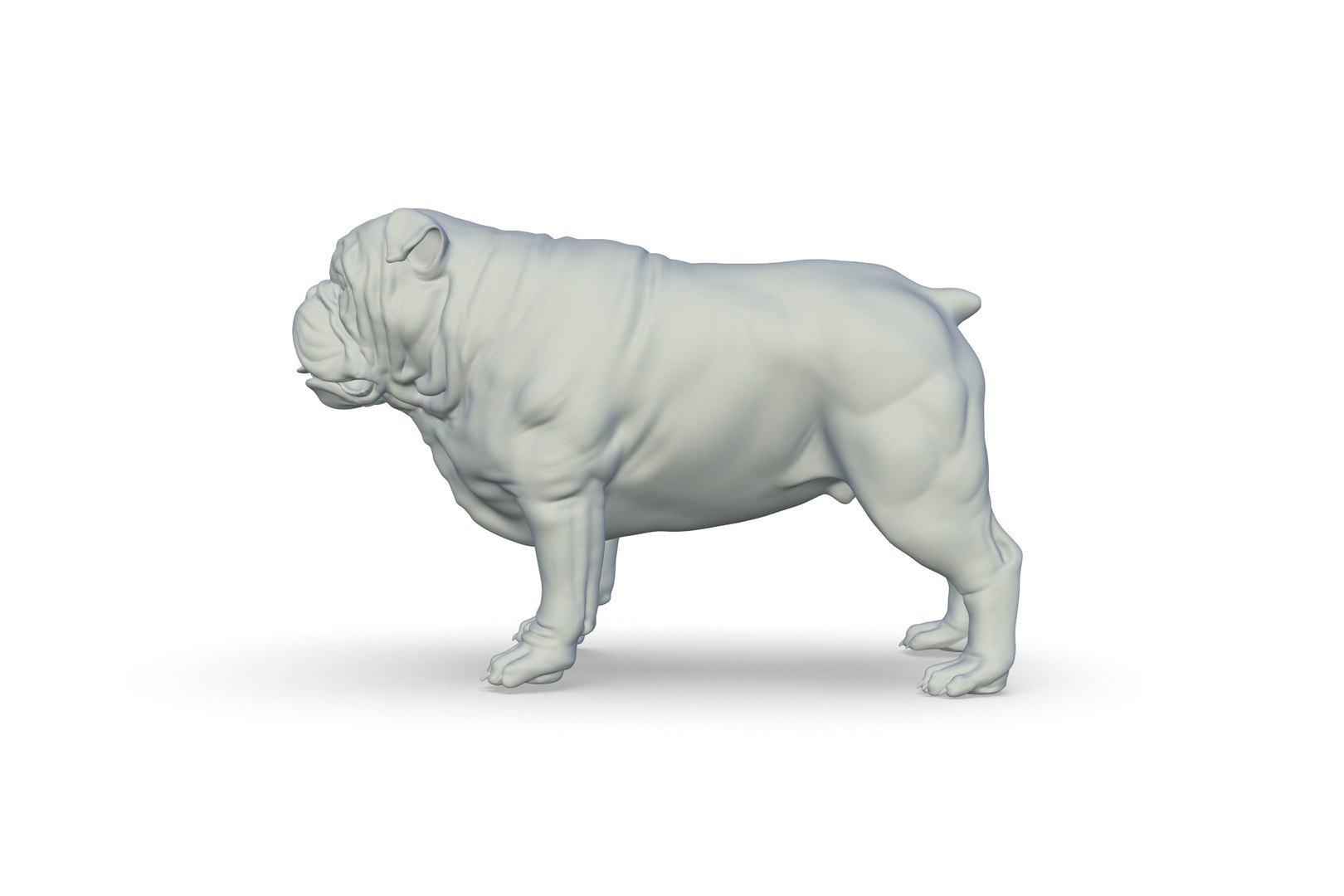3D Bulldog - TurboSquid 2214010