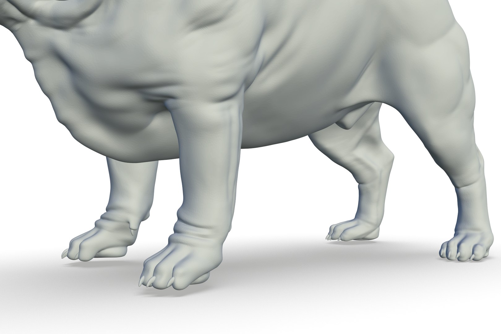 3D Bulldog - TurboSquid 2214010
