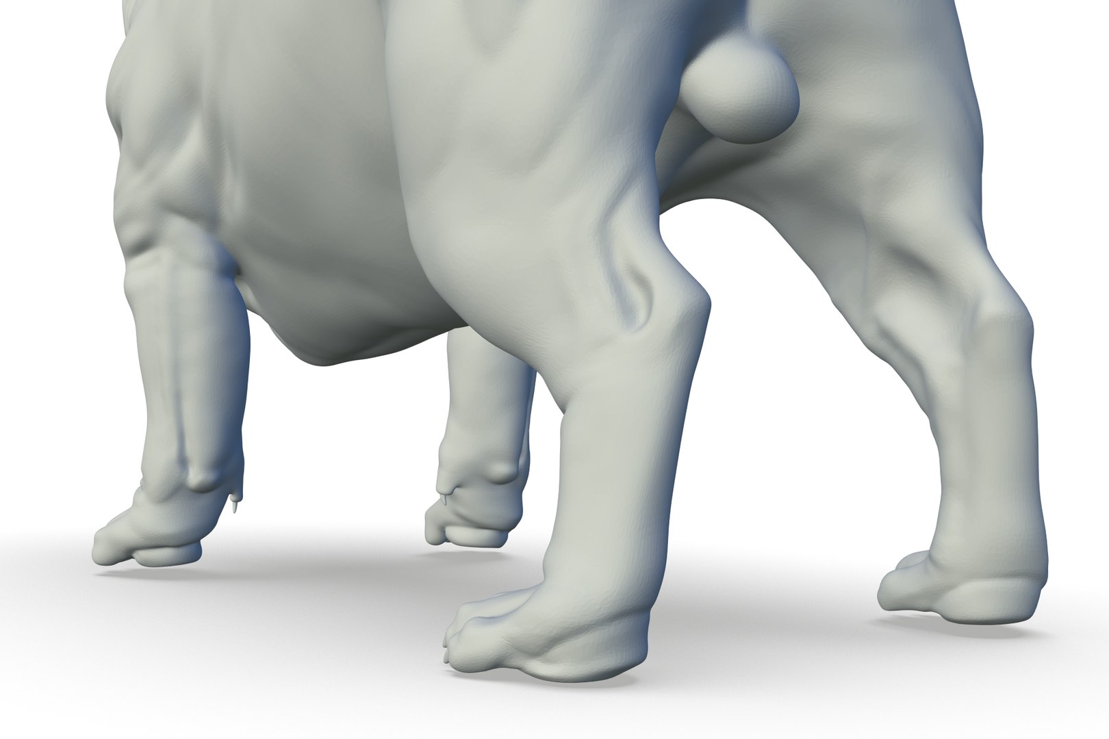 3D Bulldog - TurboSquid 2214010